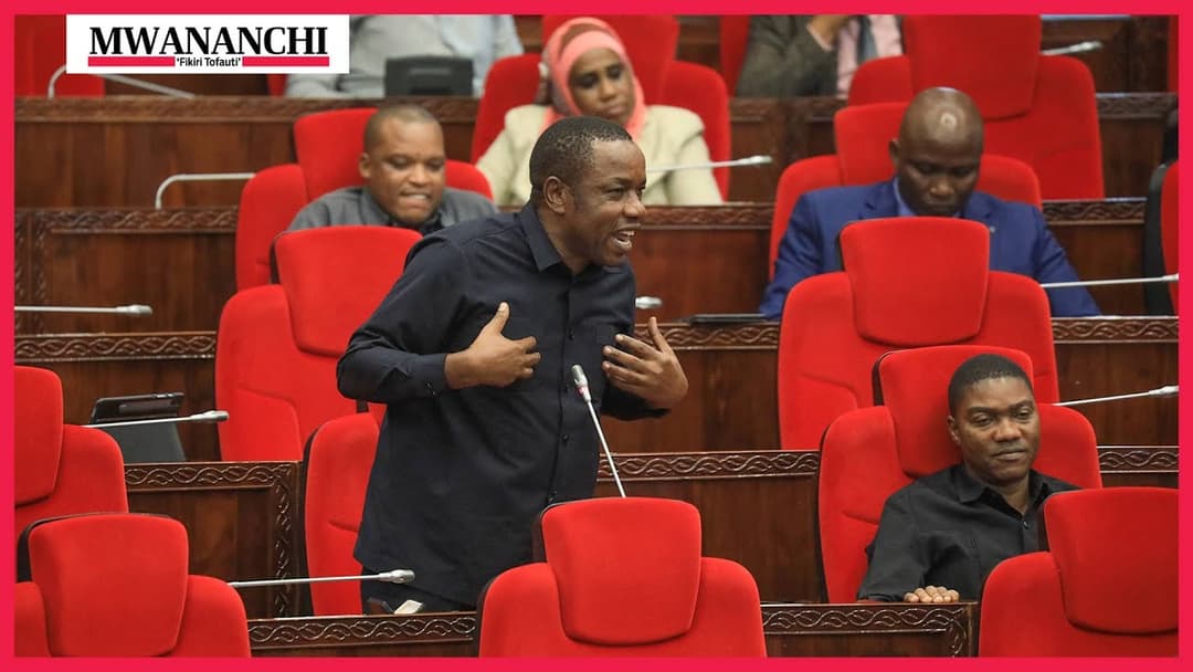 Hon. Vedastus Mathayo - Member of Parliament